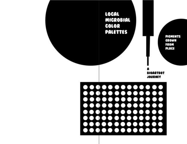 A playful journal to document journey with microbial color palettes of ...