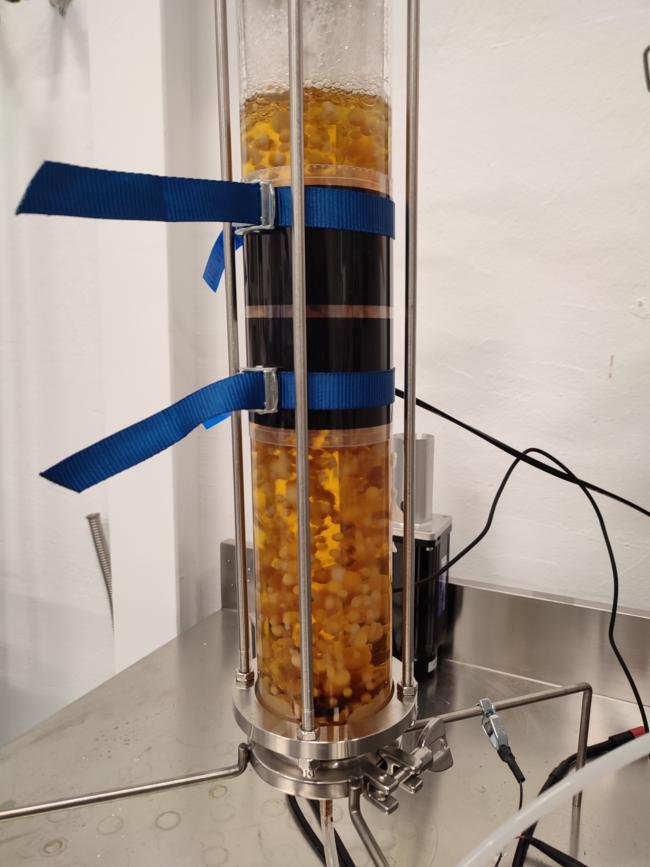 Progress update: Two functional DIY BC Bioreactors built and tested ...