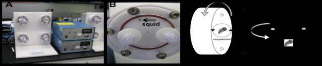 The HARV Bioreactors | Experiment