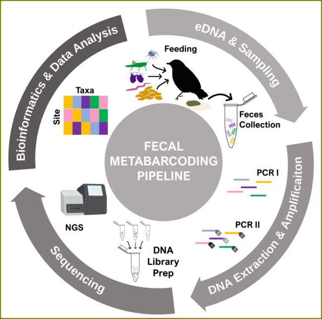 Fecal Metabarcoding Pipeline | Experiment