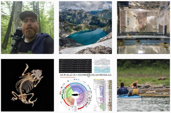 Steps to Make Your Science Instagram Posts Stand Out | Experiment