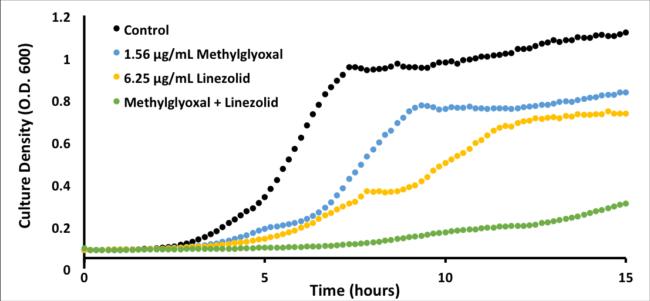 Linezolid and MGO Checkerboard Experiment | Experiment