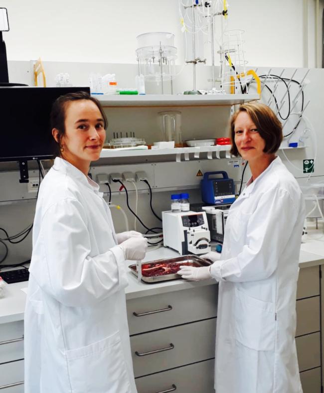 Preparing our lab work | Experiment