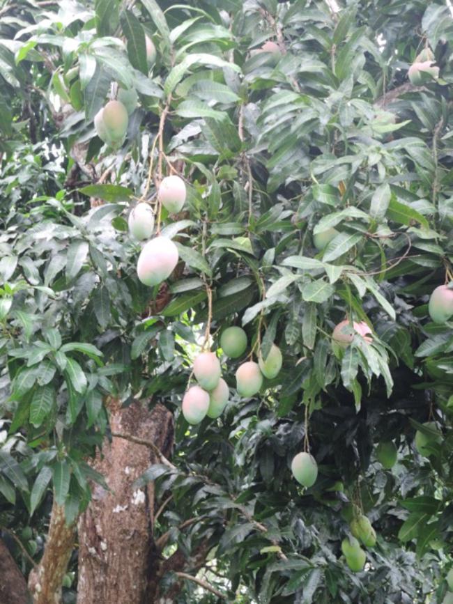 Day Two... | Experiment