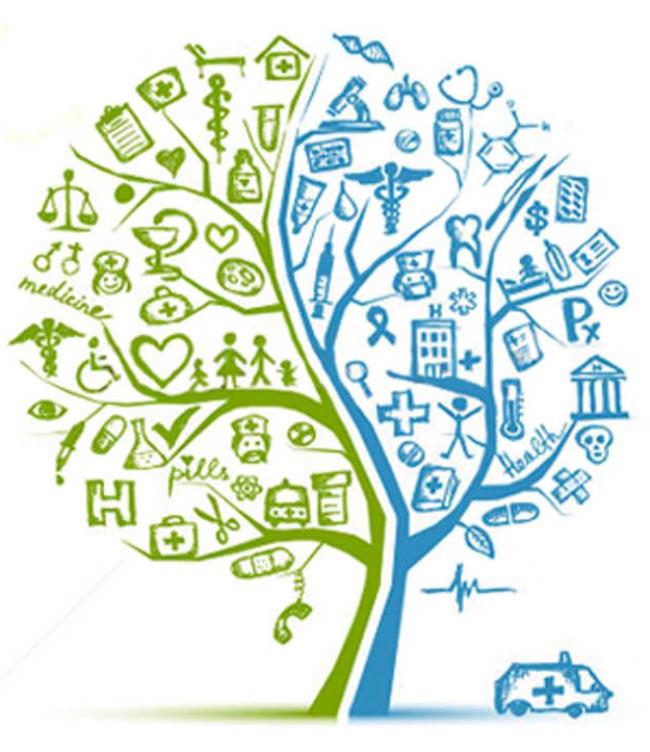 Trauma & Health: It's not just the sticks and stones that hurt | Experiment