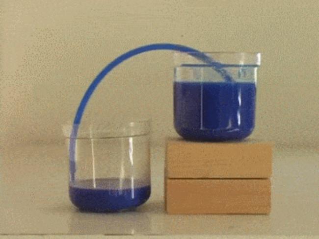 Siphons | Experiment