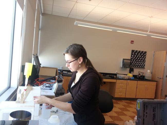 Processing samples in the lab | Experiment